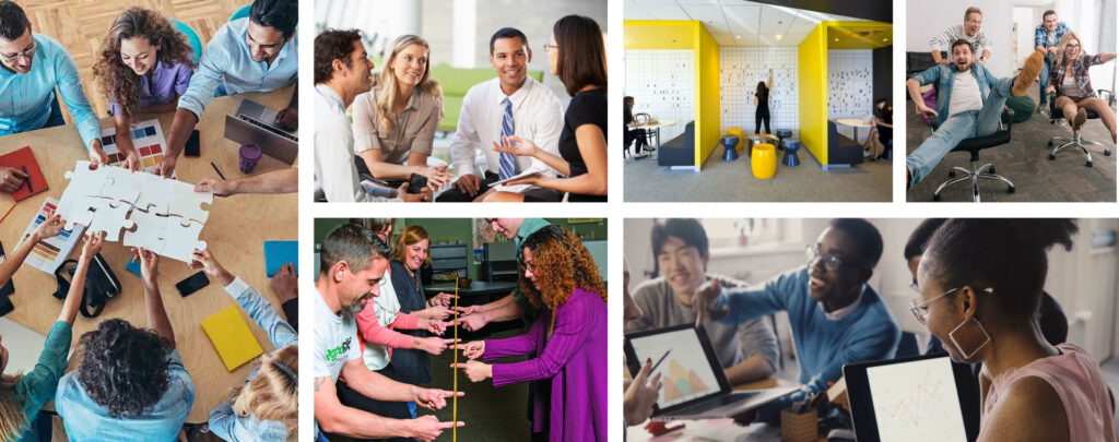 Career - Enlite Research Pvt. Ltd.